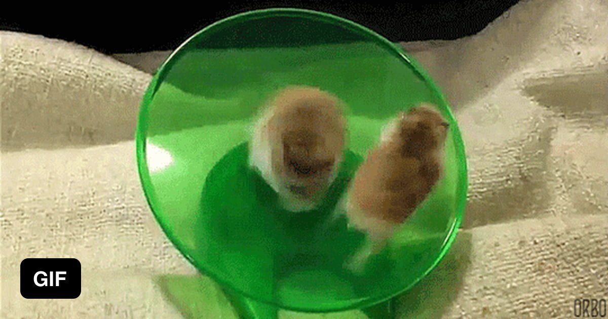 My new loading screen - 9GAG