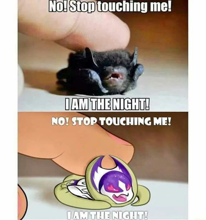 No touchy touchy - 9GAG