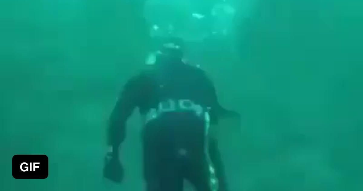 That’s gonna be a nope from me dawg - 9GAG