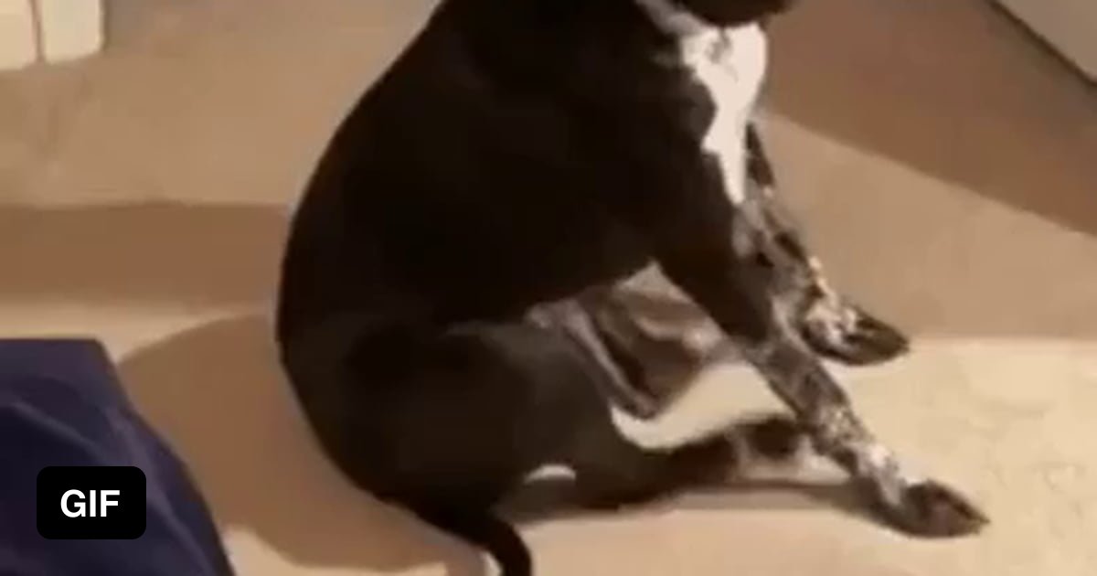 Relaxed tippy taps - 9GAG