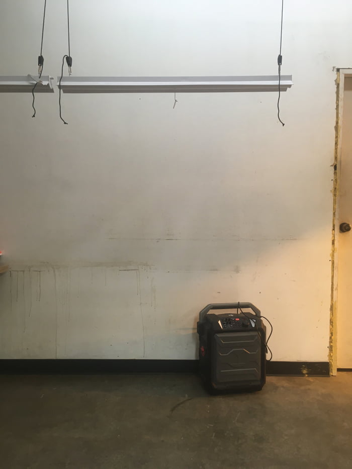 Finally started my own business!! We’ve got four blank white walls fill ...