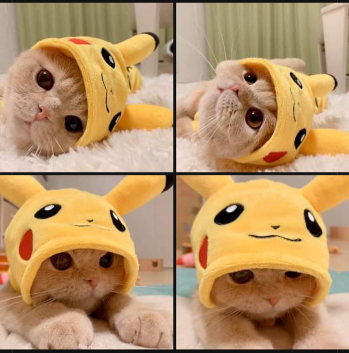 Pika-cat - 9GAG