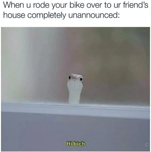 Hi bich - 9GAG