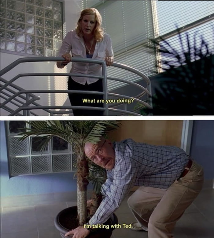 I can see you in there Ted - 9GAG