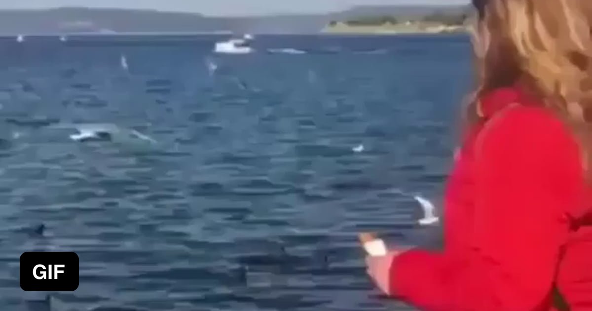 Whoops threw the wrong one - 9GAG