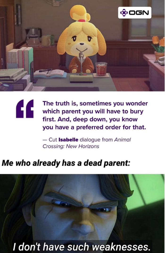 Isabelle didn’t think about that - 9GAG