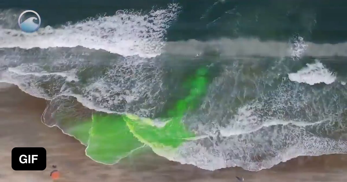 Rip current shown with green dye - 9GAG