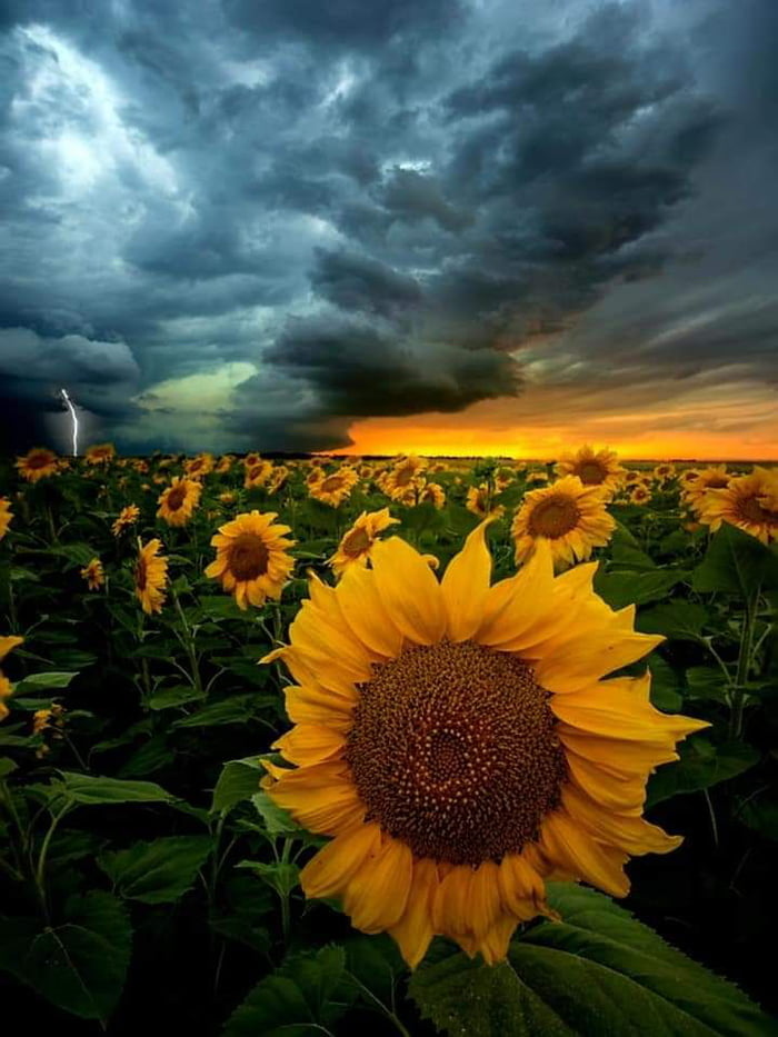 Wow, that's so beautiful - 9GAG