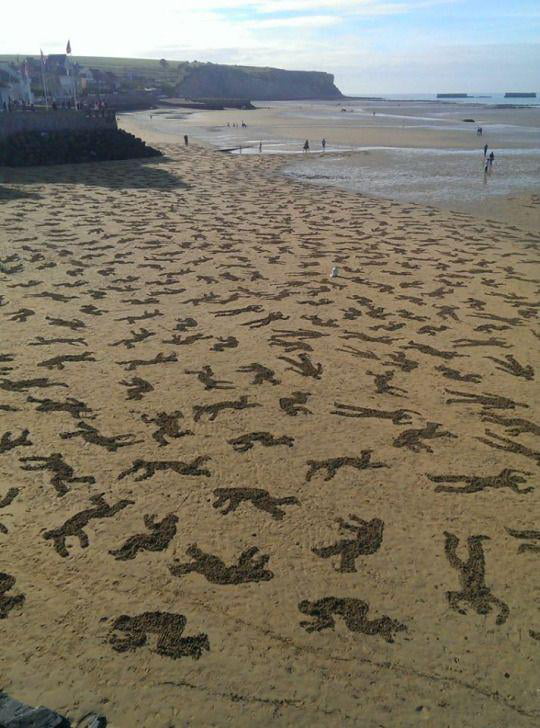 On Peace Day 2013, 9000 silhouettes of soldiers were etched into the ...