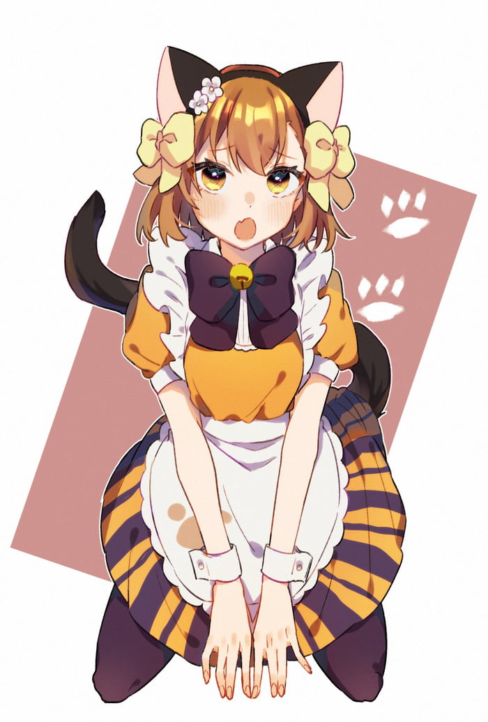 Neko maid Mikoto - 9GAG