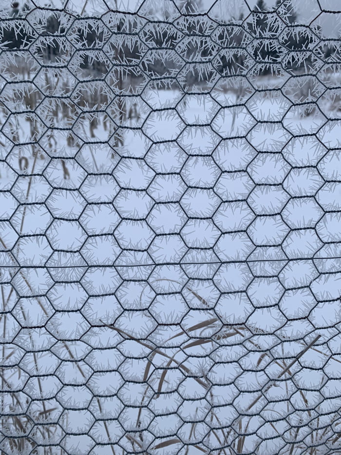 It was foggy all day and then it froze over night into these satisfying ...