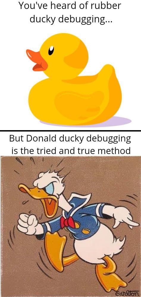Rubber ducky debugging vs reality - 9GAG