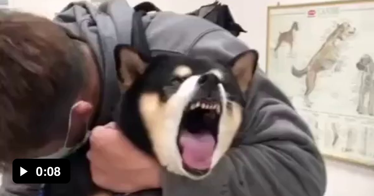 Over reacting - 9GAG