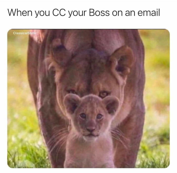 Bossmail - 9GAG