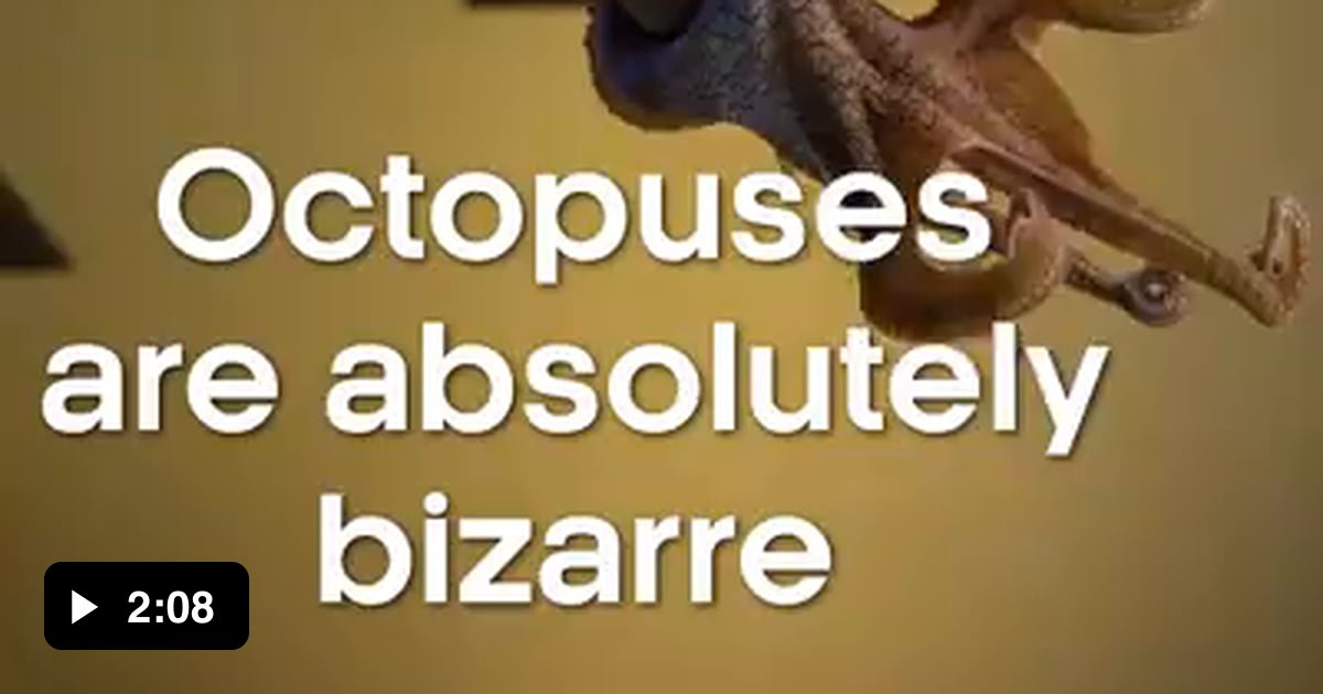 Octopuses are bad ass! - 9GAG