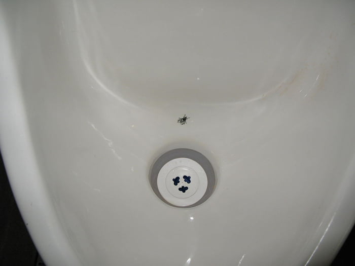 Urinals at Amsterdam's Schiphol have a fly etched in the porcelain to ...