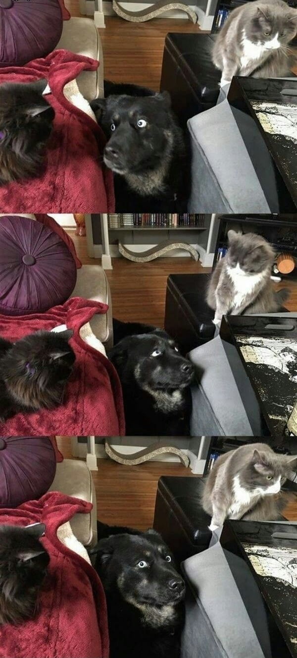 Prepare for trouble... Make it double! - 9GAG