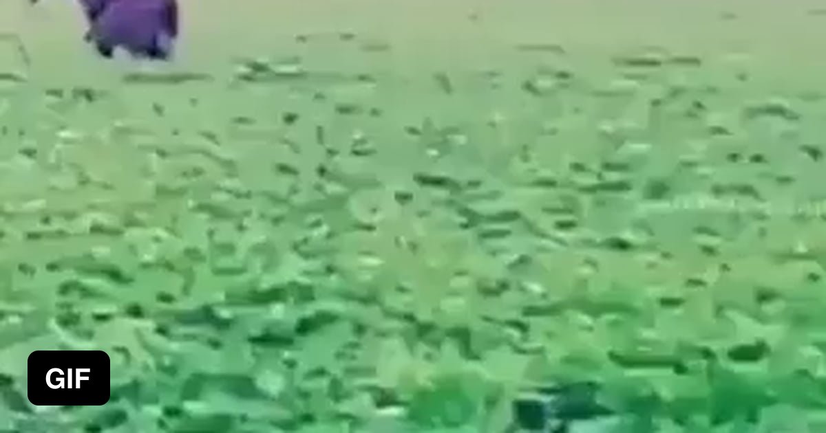 Keeping track... - 9GAG