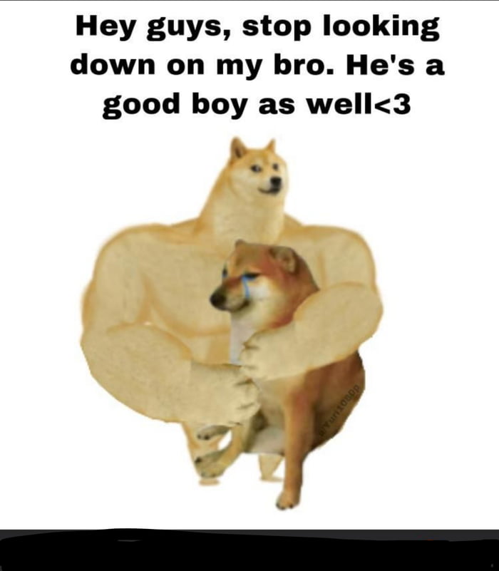 Good boi. - 9GAG
