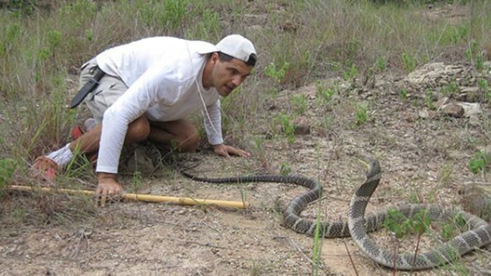 First day of Python be like - 9GAG