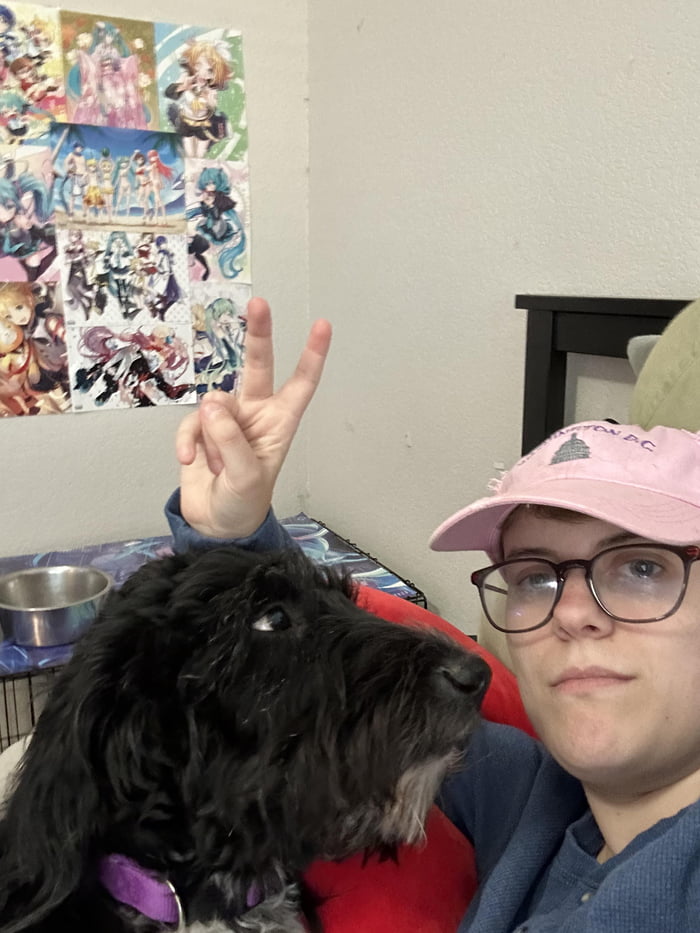 Why this 🐕🦺 look so mad - 9GAG