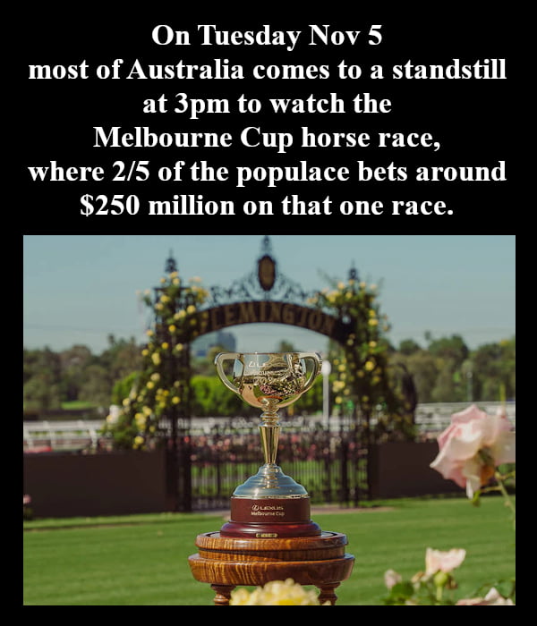 ...giddy up little pony... - 9GAG