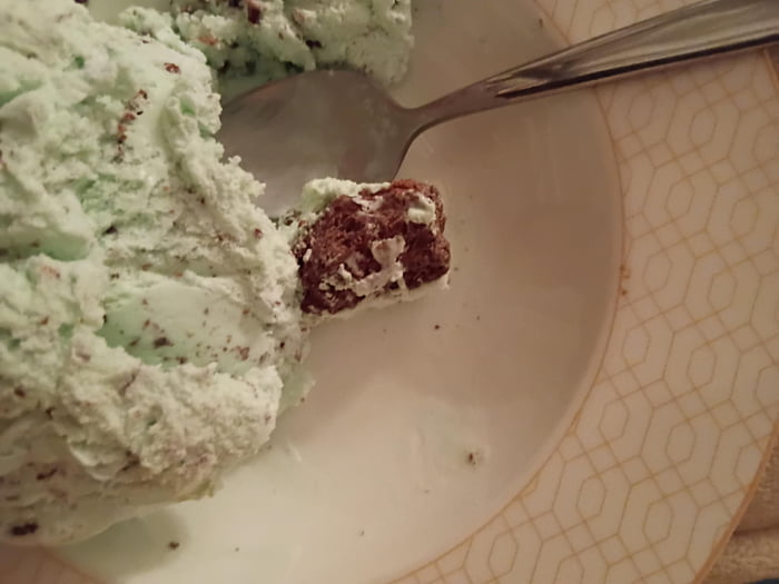 Enjoying a scoop of mint chocolate chip - 9GAG