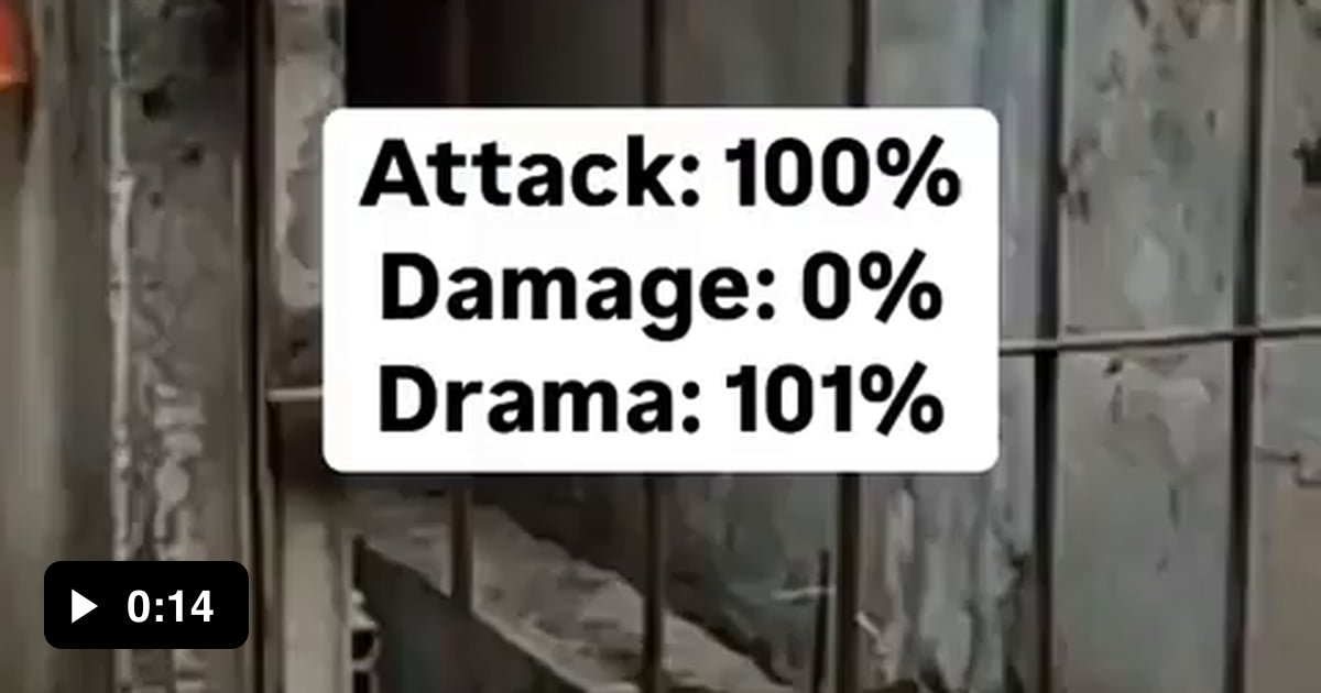 Cat drama is next level. - 9GAG