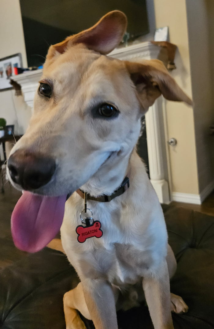 Certified Goober. - 9GAG