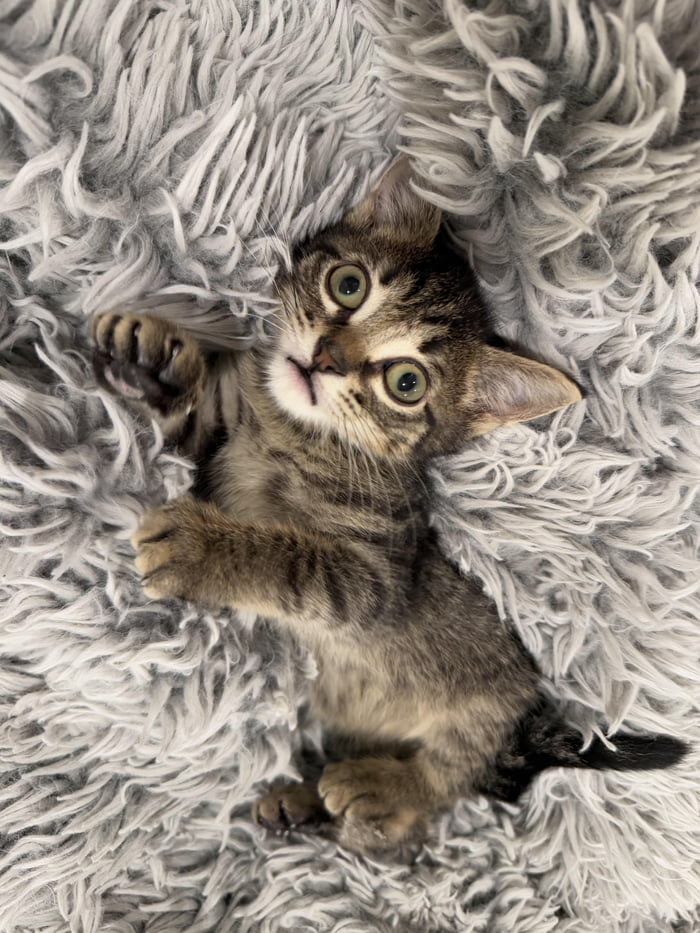 Timmy is so cute - 9GAG