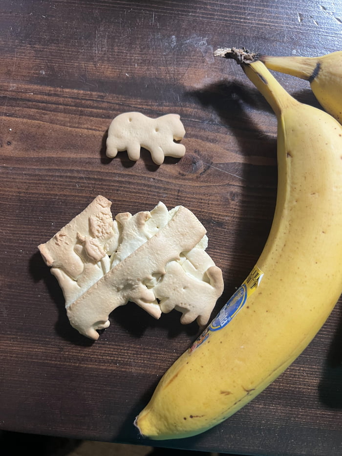 Of an animal cracker - 9GAG