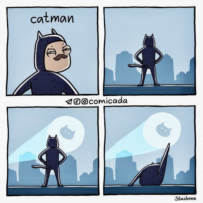 I'm Catman! - 9GAG