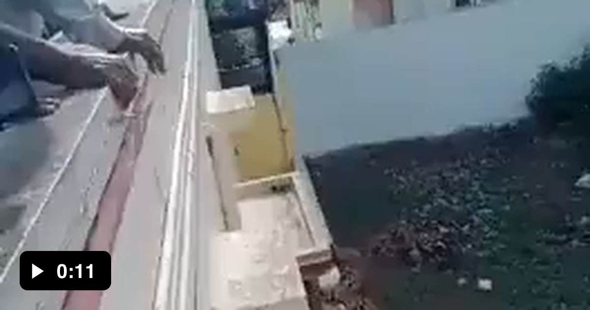 People Chasing Leopard. - 9GAG