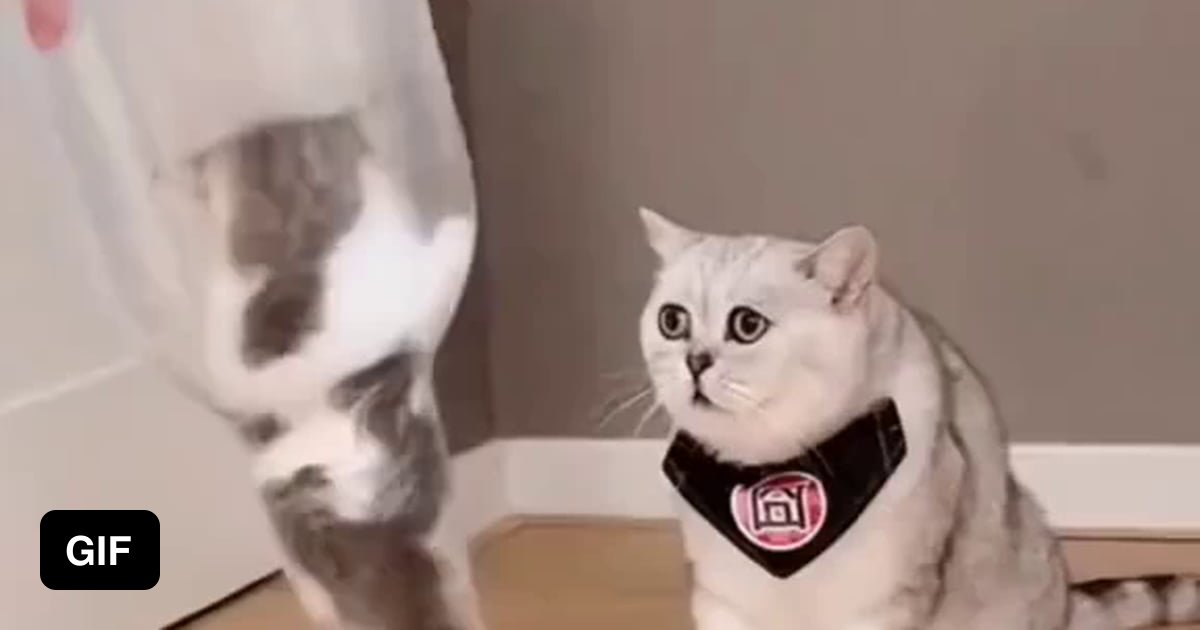 A mother's view of a foolish child. - 9GAG