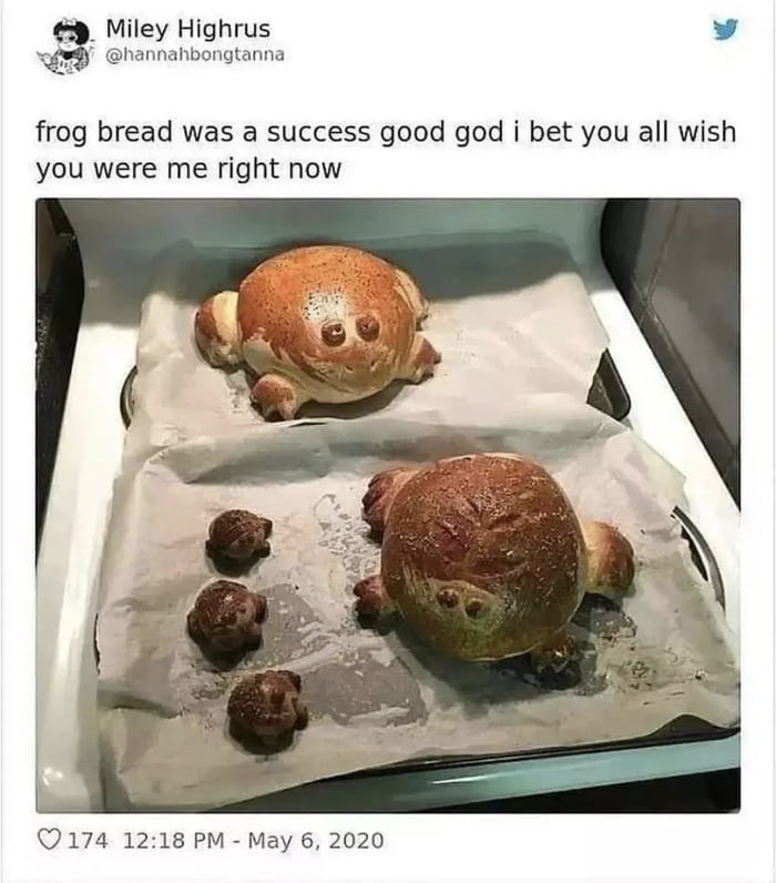 It's Wednesday my dude - 9GAG