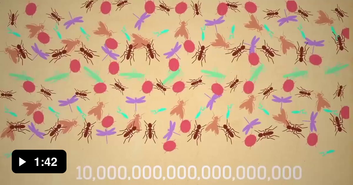 The Carboniferous Period, an Era before Dinosaurs where insects like ...