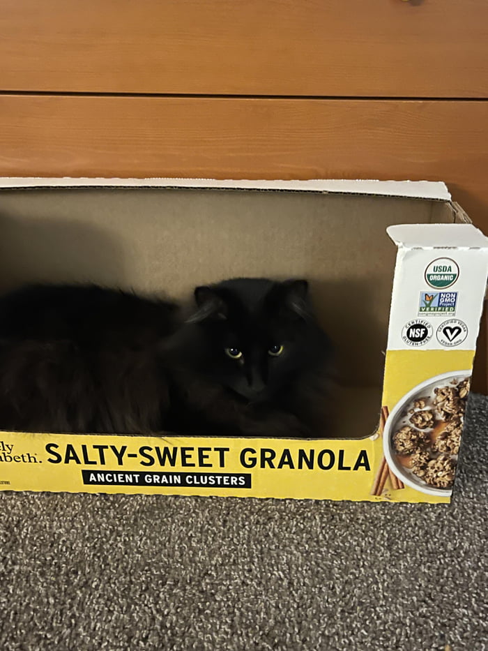 His emotional support box - 9GAG