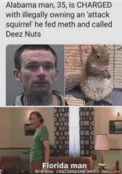 Deez Nuts V Shaggy - 9GAG