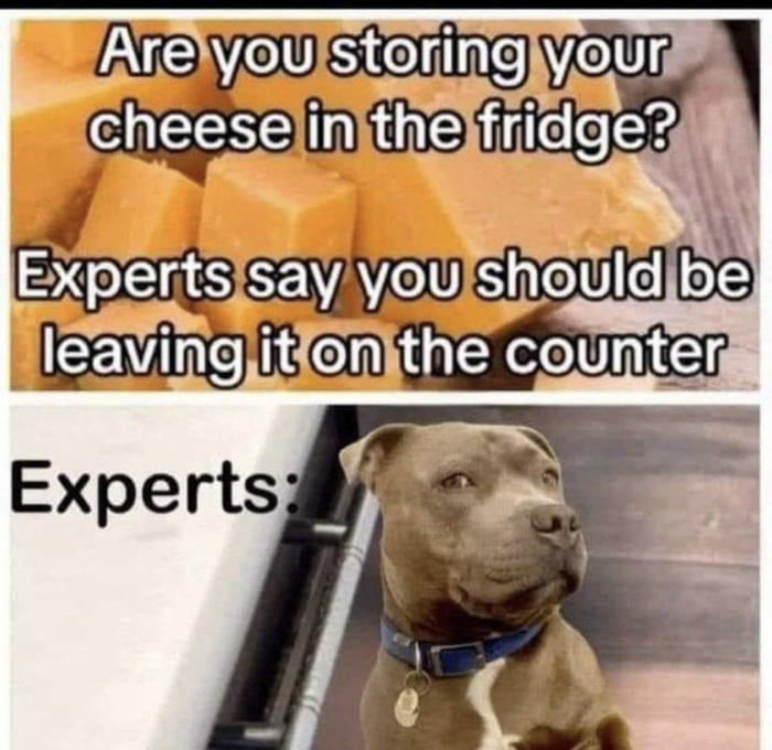 The experts never lie. - 9GAG