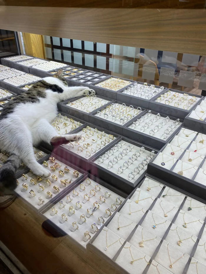 The Lord of the Rings - 9GAG