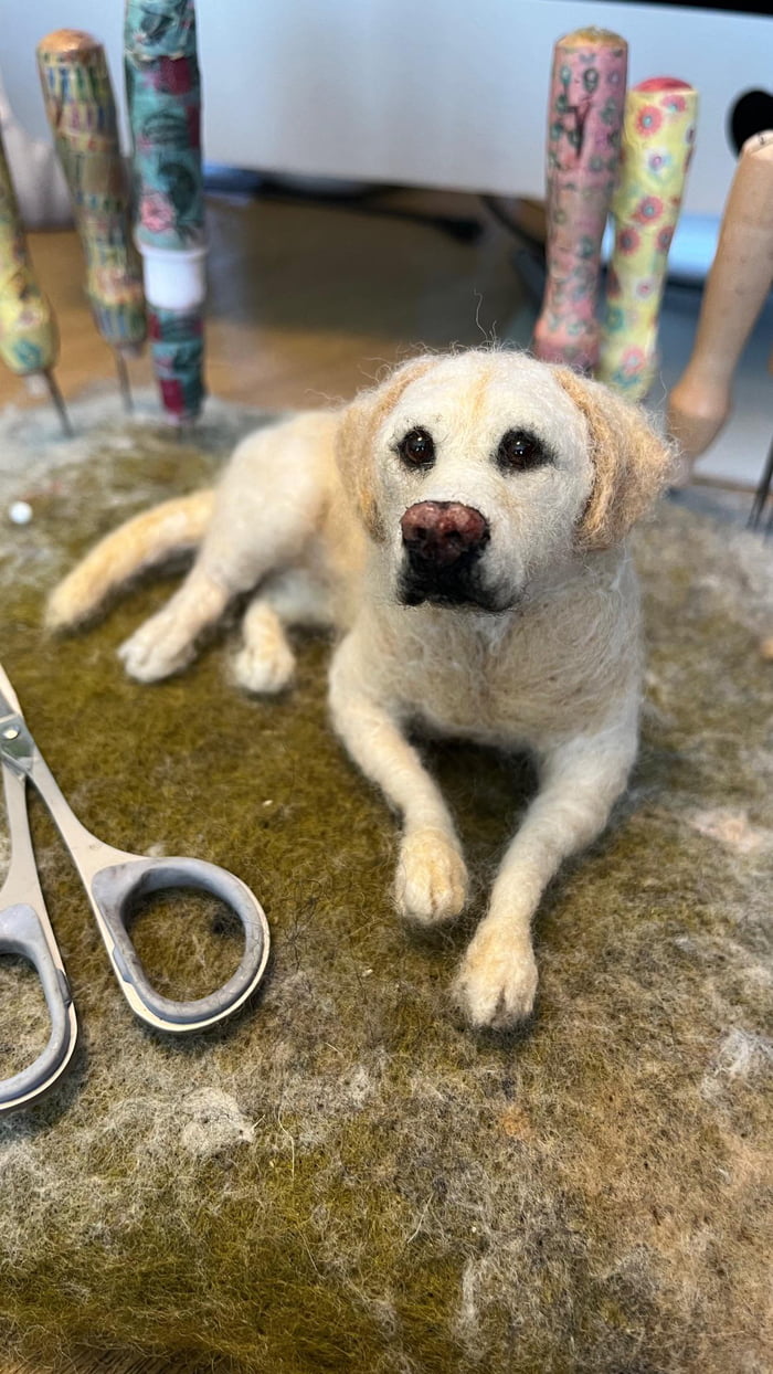 Made this in memory of the goodest boy. Needle felted - 9GAG