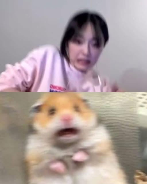 Same energy, same vibes - 9GAG