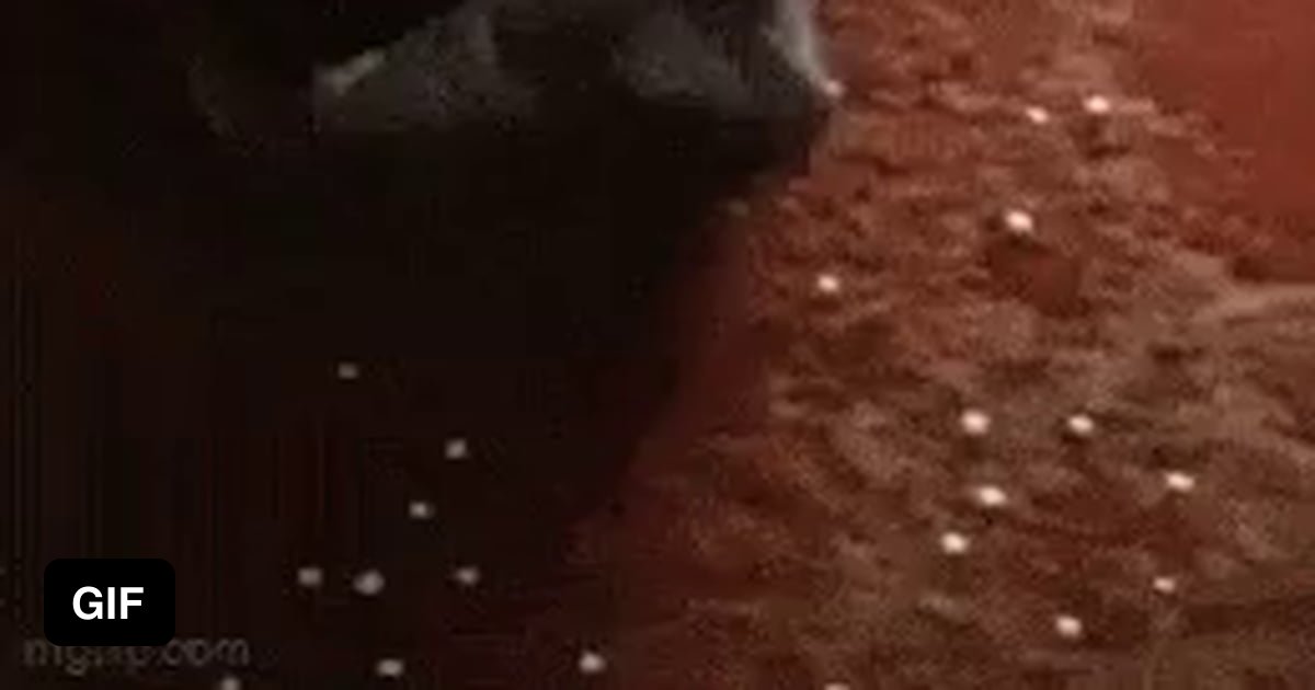 Oh great...... - 9GAG