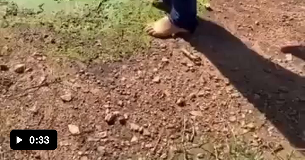 Crikey! she's a beauty. - 9GAG