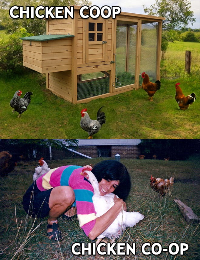 If you are confusing these - 9GAG