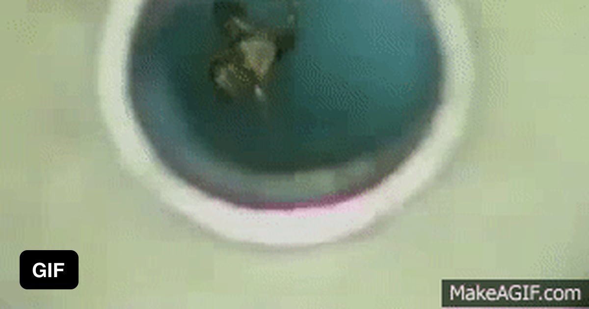 Today's Wednesday Frog is this frog floating in a diamagnetic field - 9GAG