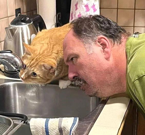 Research how to repair plumbing - 9GAG