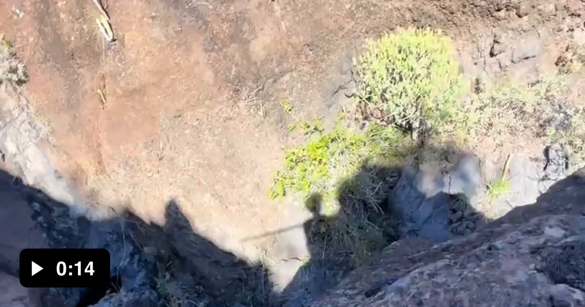 Satisfying jump with a stick. - 9GAG