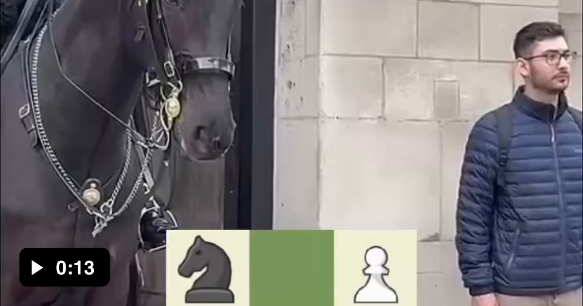 Chess Master? - 9GAG