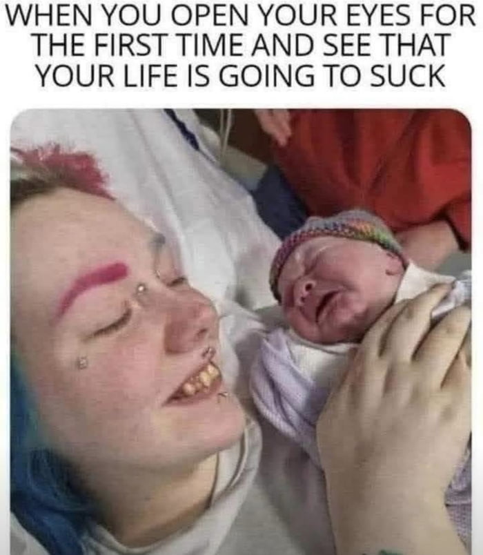 Please put me back… - 9GAG